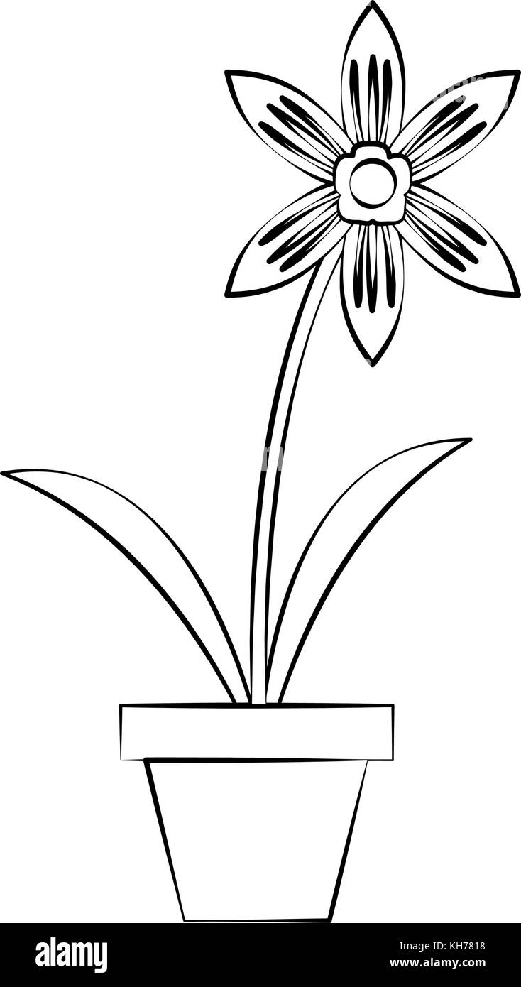 Beautiful flower plant Stock Vector Image & Art - Alamy