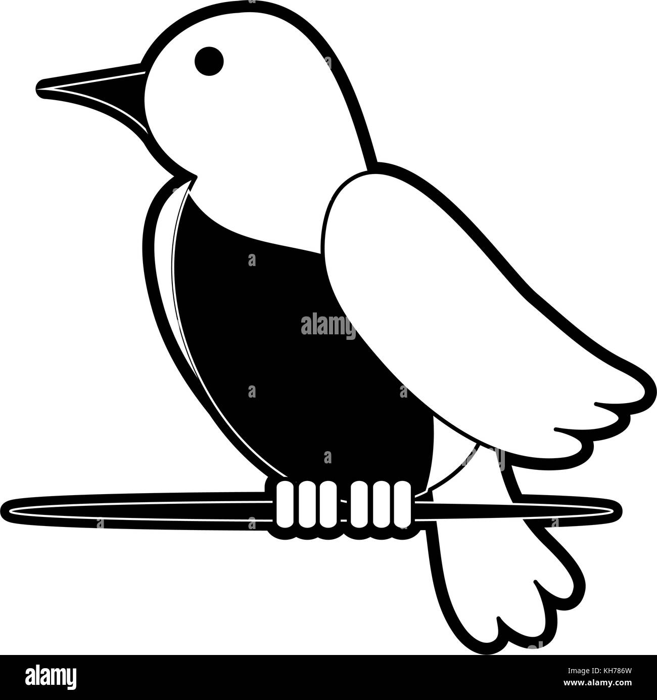 Cartoon feather quill Black and White Stock Photos & Images - Alamy