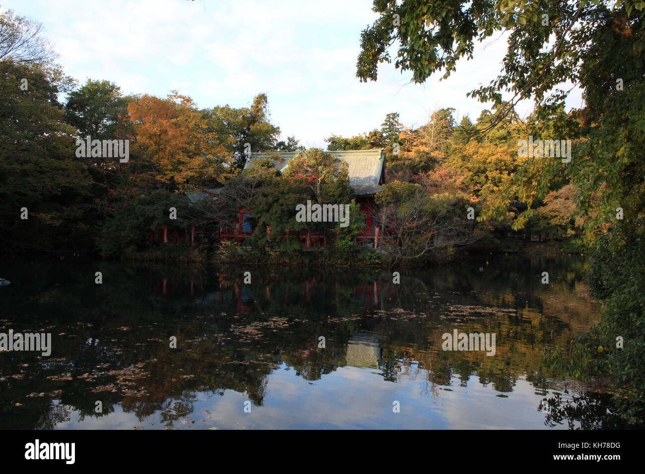 Autumn Scenery in a park in Tokyo. A temple by the pond at sunrise ...