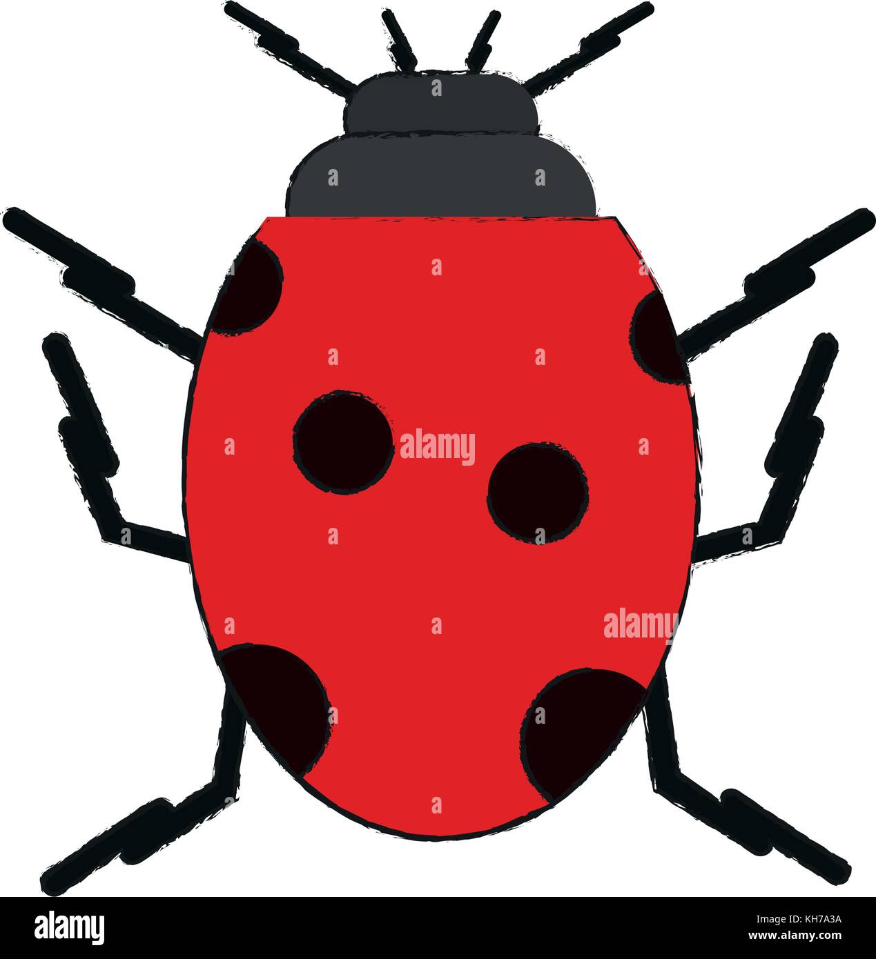 Cute ladybug insect Stock Vector Image & Art - Alamy