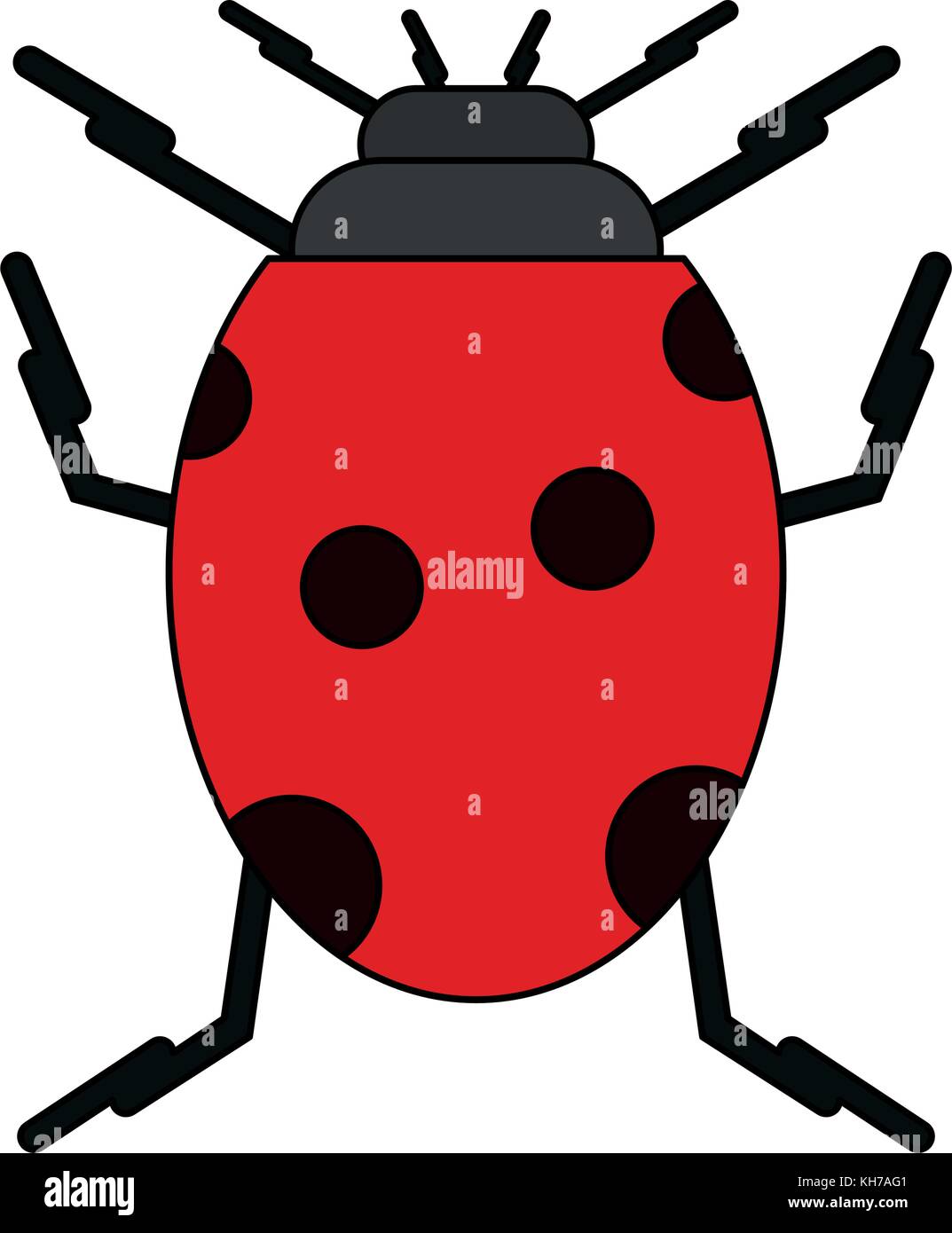 Cute ladybug insect Stock Vector Image & Art - Alamy