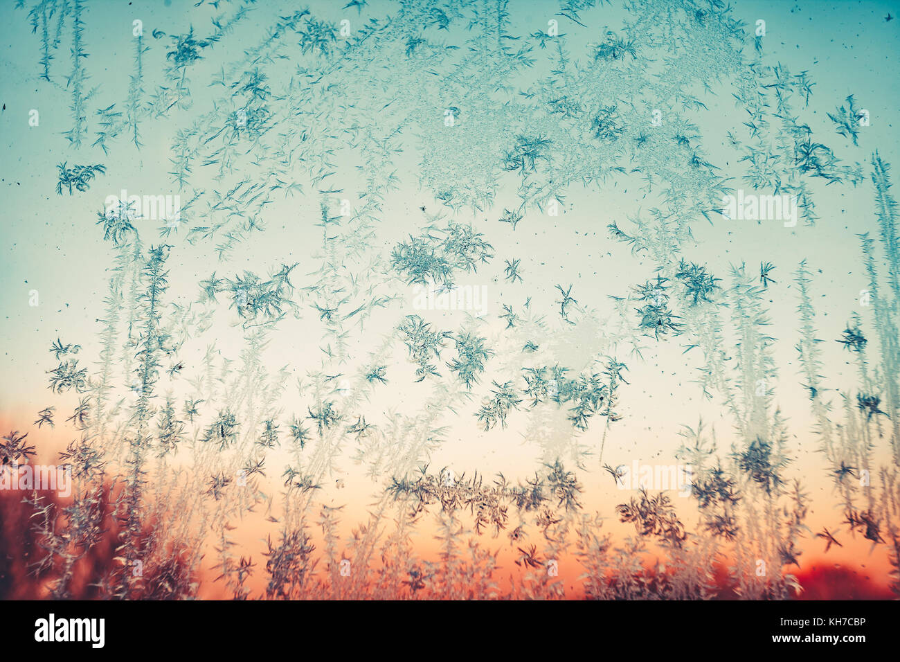 Iced blue snow flakes on window Stock Photo - Alamy