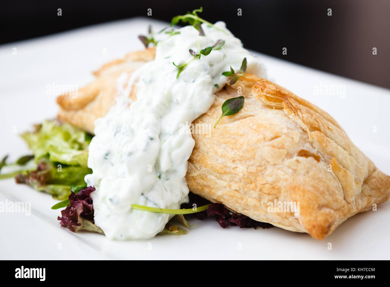 Pastry Filled With Salmon Cream High Resolution Stock Photography and ...