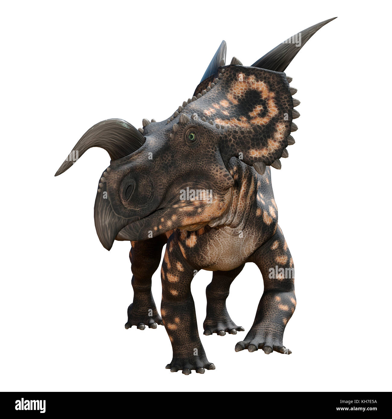 3D rendering of a dinosaur Einiosaurus isolated on white background ...