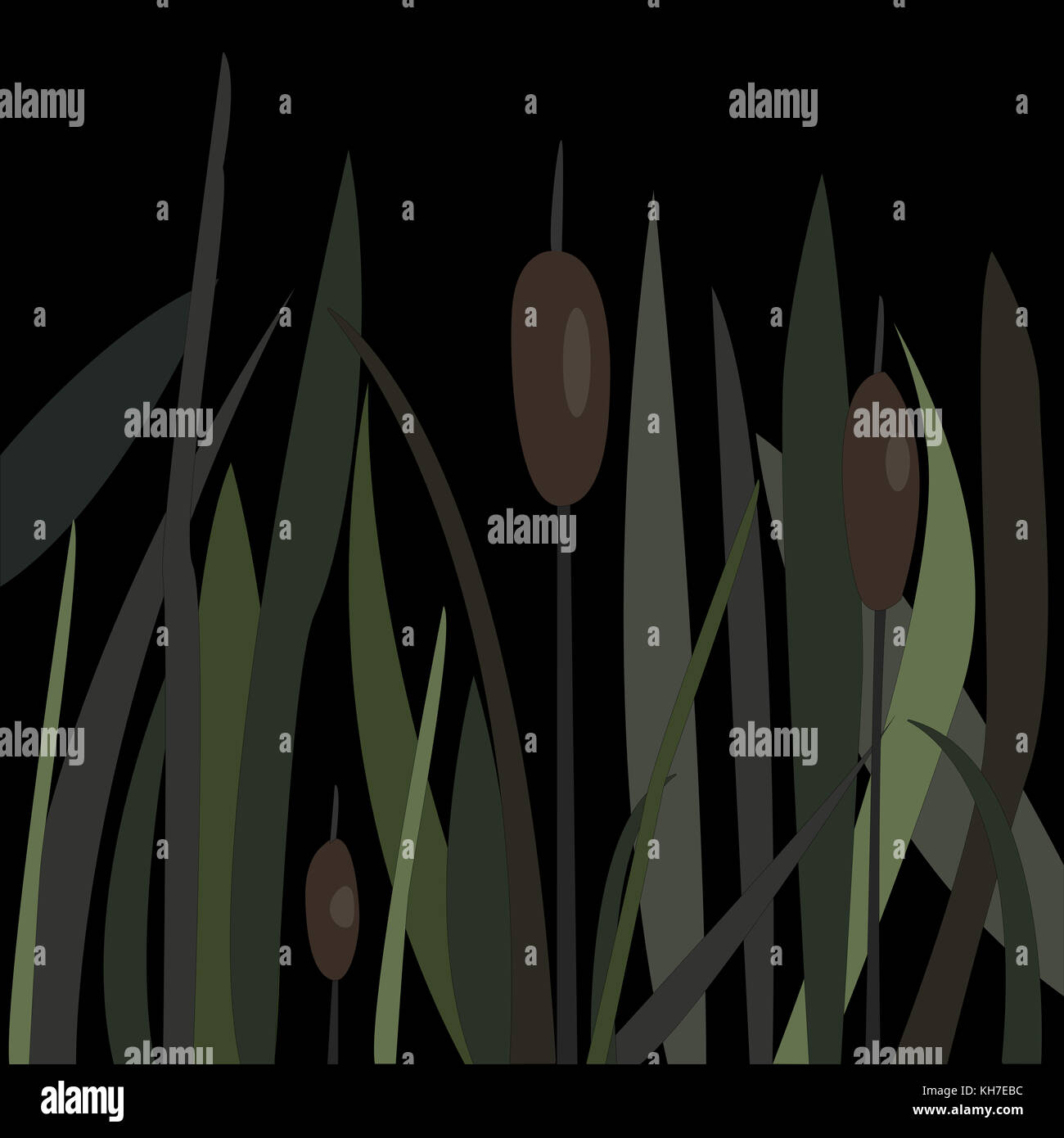 Bush of Swamp Reed on a Lake. vector Illustration Stock Photo - Alamy