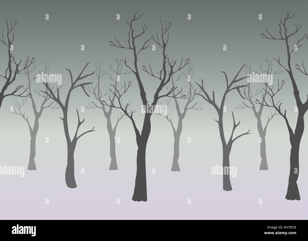 Winter Trees Background. Winter landscape with trees, fog. Cloudy Foggy ...