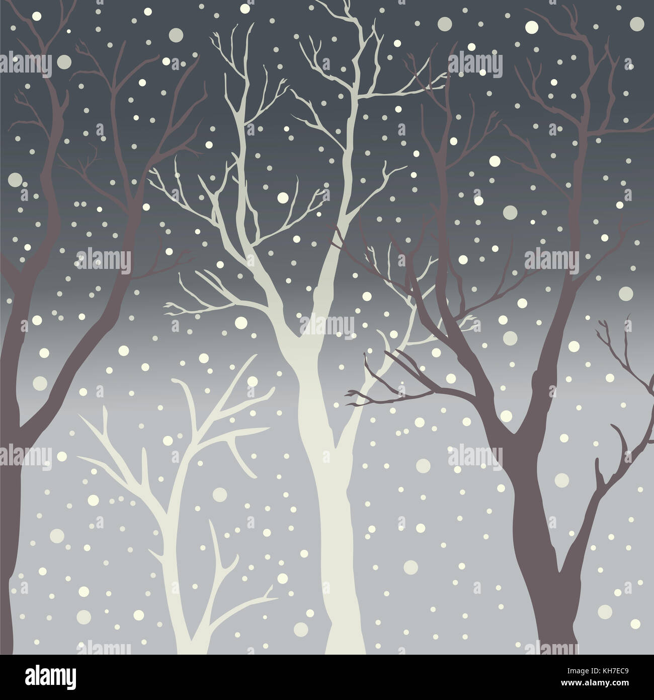 Winter Trees Background. Winter landscape with trees, fog. Cloudy Foggy ...