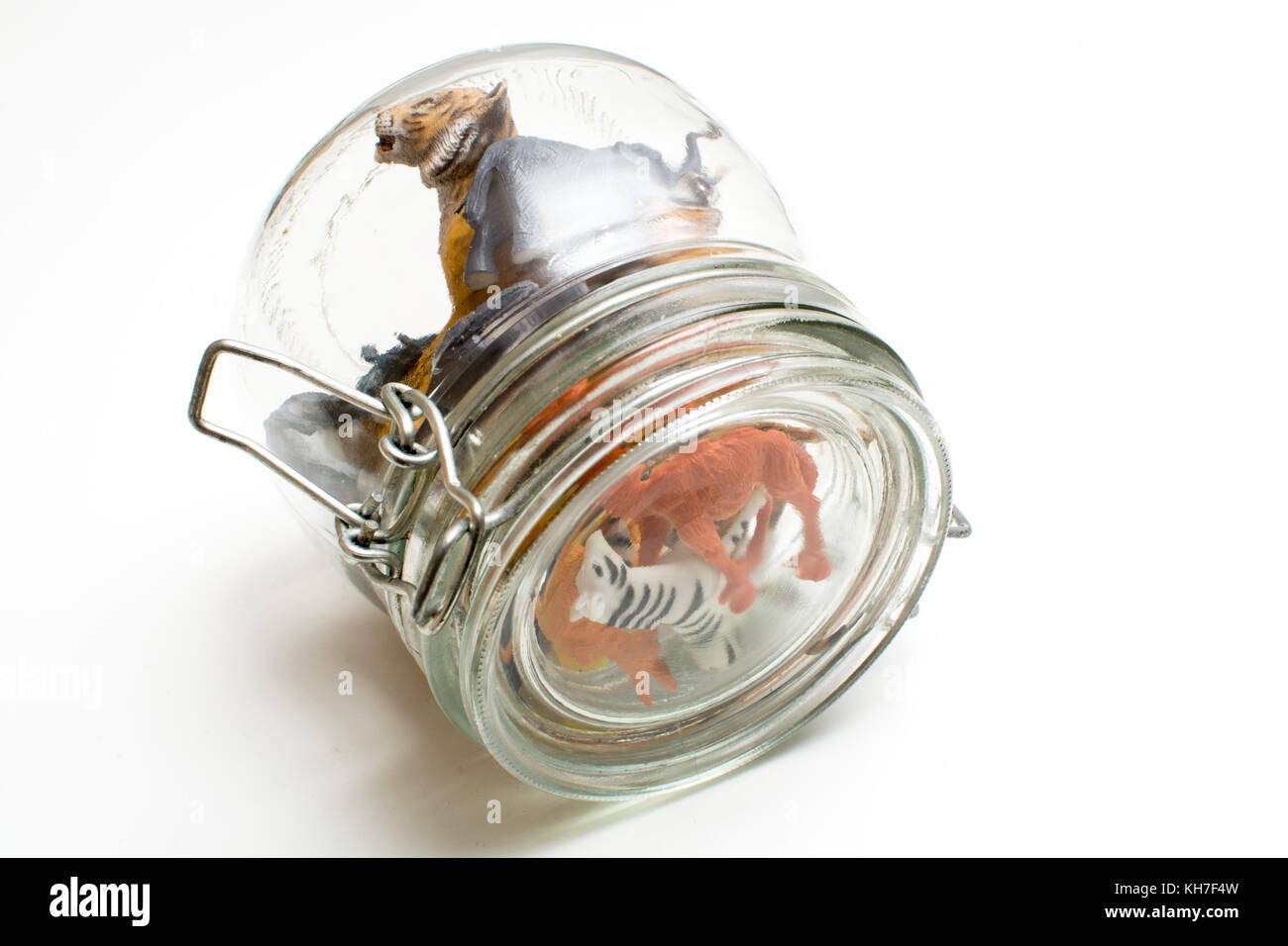 Wild animals in captivity concept of safari animals in a jar Stock ...