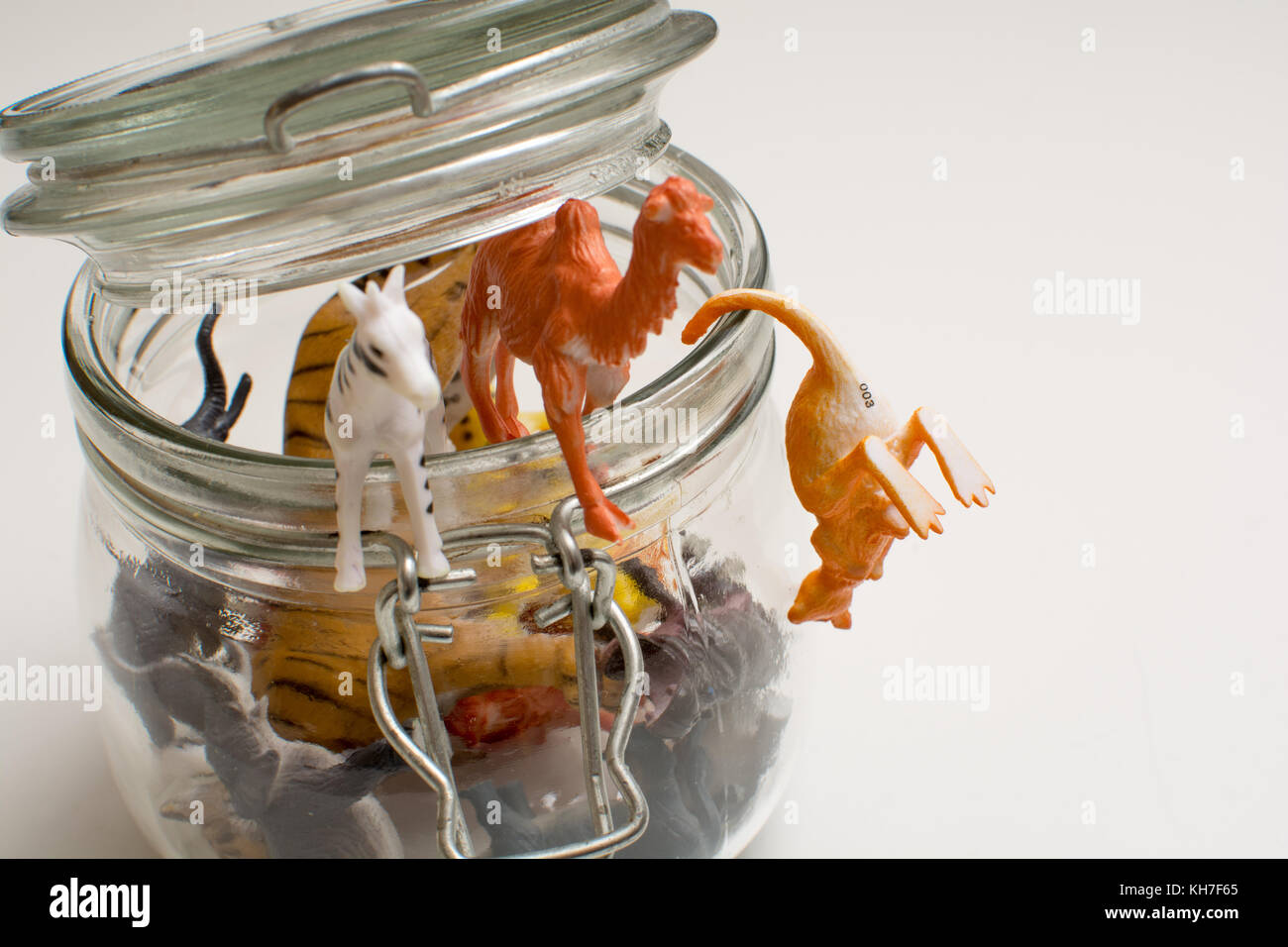 Wild animals in captivity concept of safari animals in a jar Stock ...
