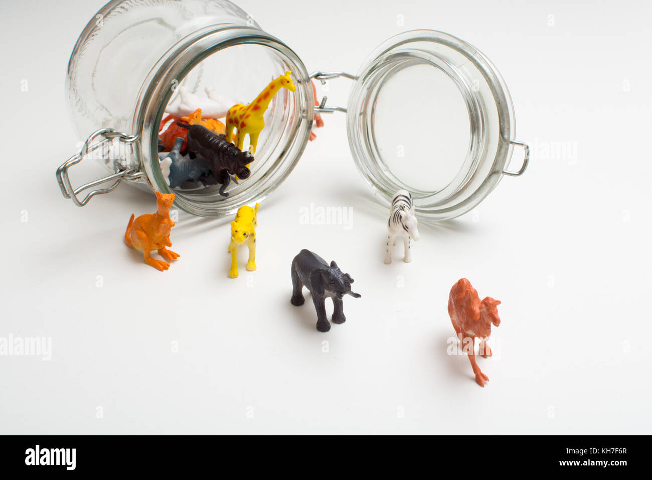 Wild animals in captivity concept of safari animals in a jar Stock ...