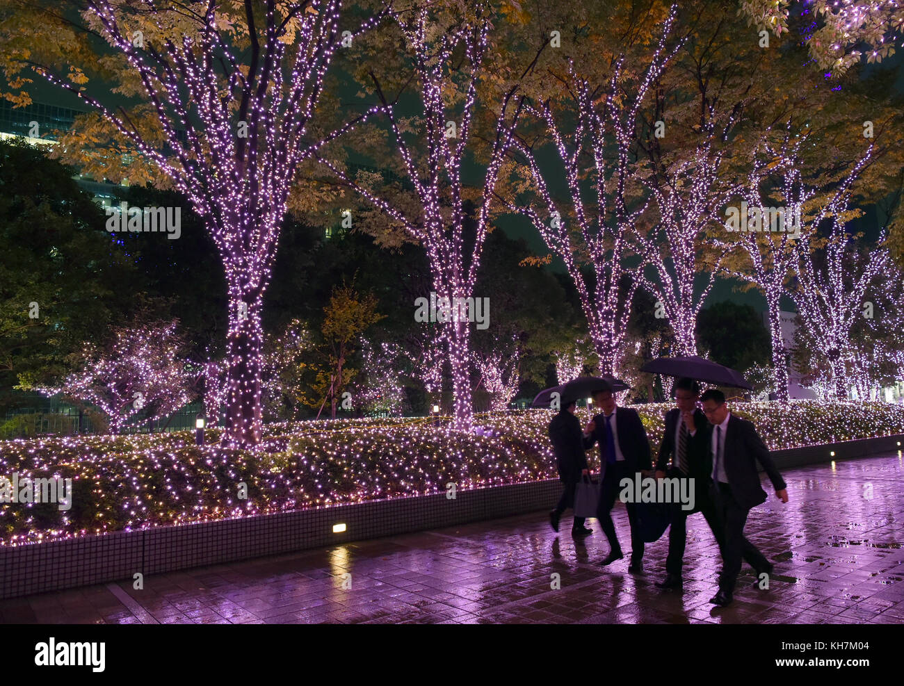 Tokyo, Japan. 14th Nov, 2017. Three-hundred-thousand tiny light ...