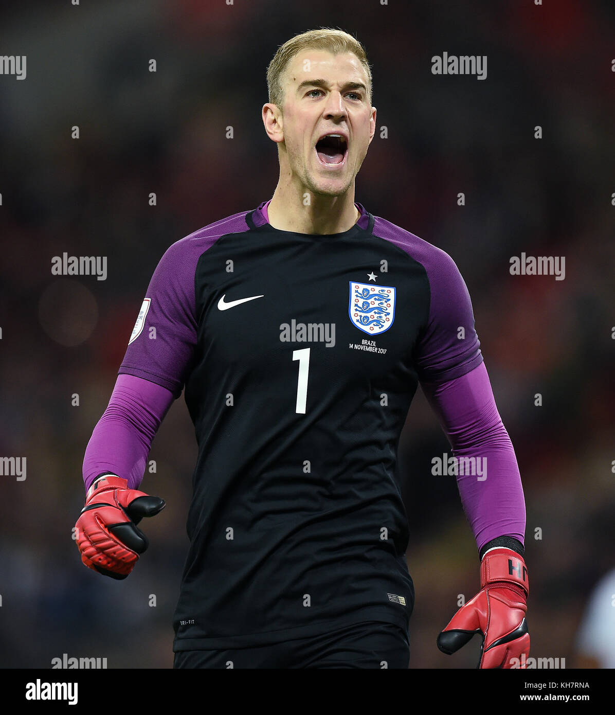 Joe Hart England