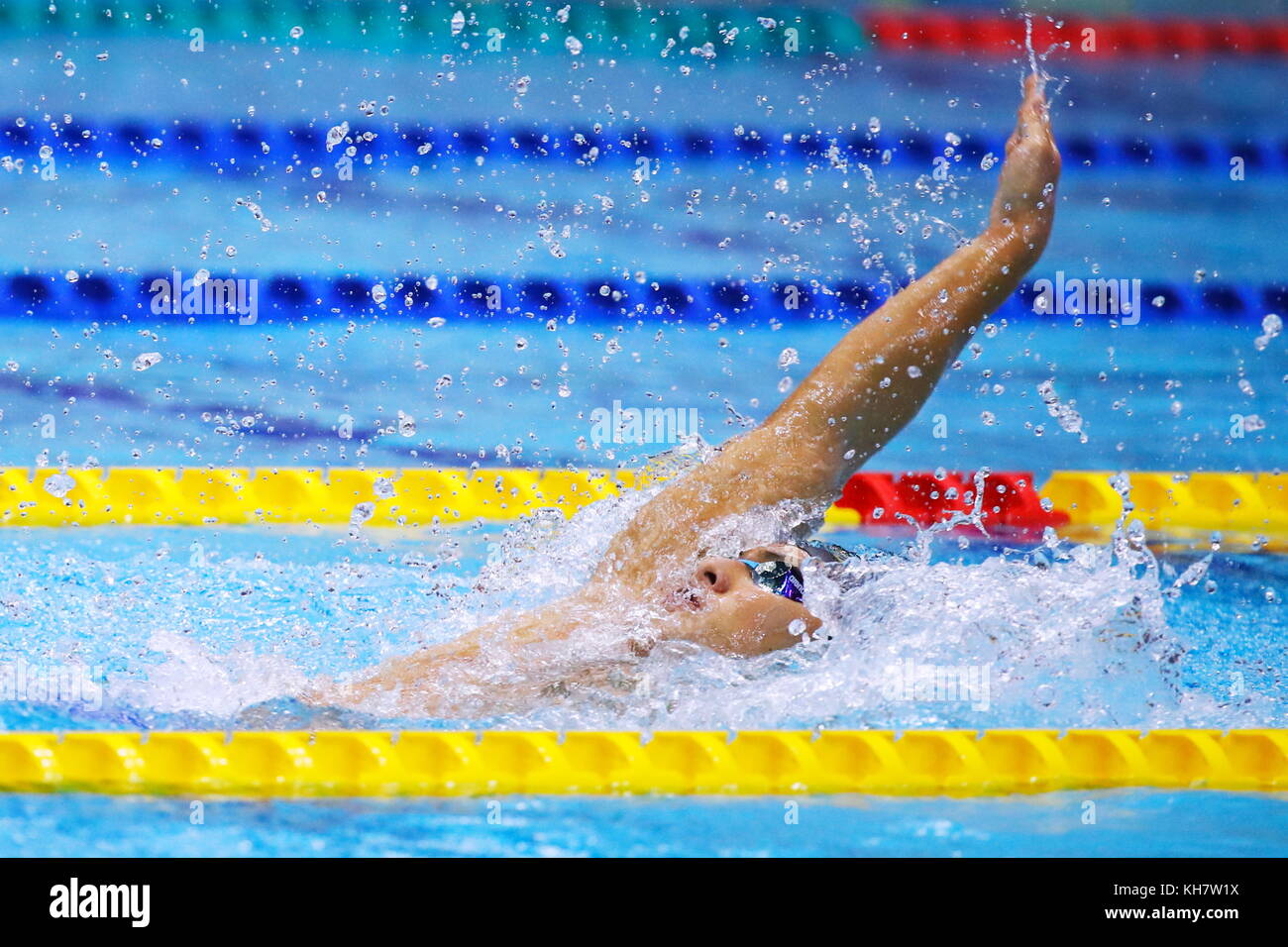 Tatsumi International Swimming Center, Tokyo, Japan. 15th Nov, 2017 ...