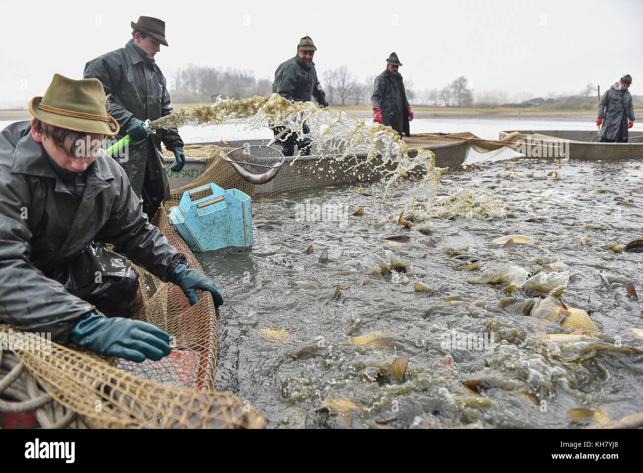 Zar, Czech Republic. 16th Nov, 2017. Fishermen fish out the Zarsky pond ...