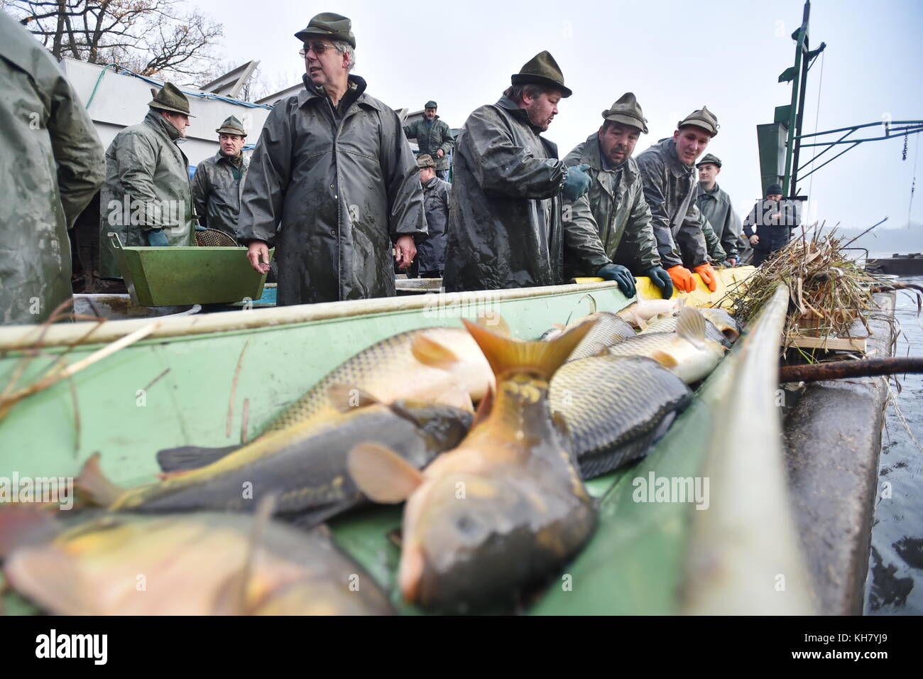 Zar, Czech Republic. 16th Nov, 2017. Fishermen fish out the Zarsky pond ...