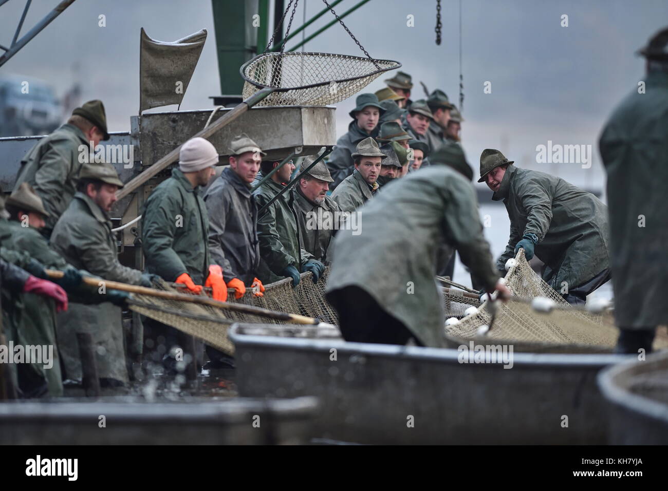 Zar, Czech Republic. 16th Nov, 2017. Fishermen fish out the Zarsky pond ...