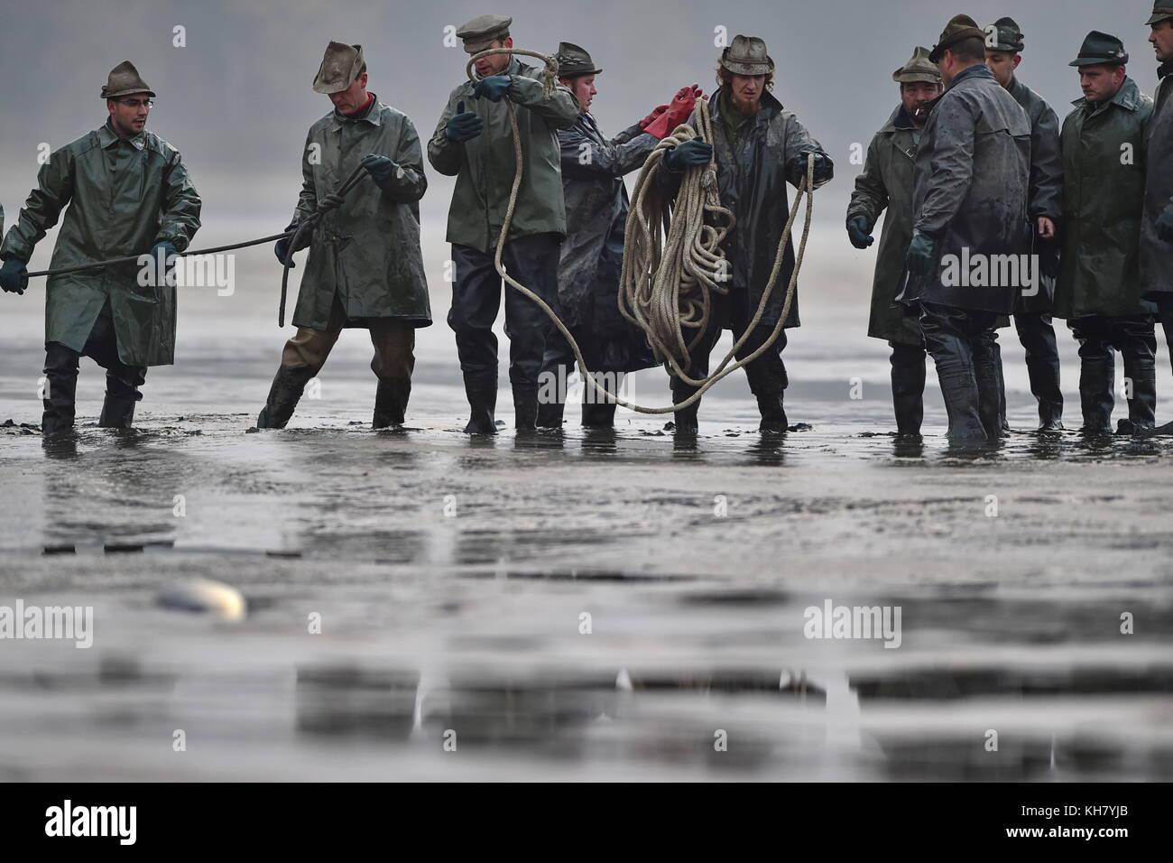 Zar, Czech Republic. 16th Nov, 2017. Fishermen fish out the Zarsky pond ...