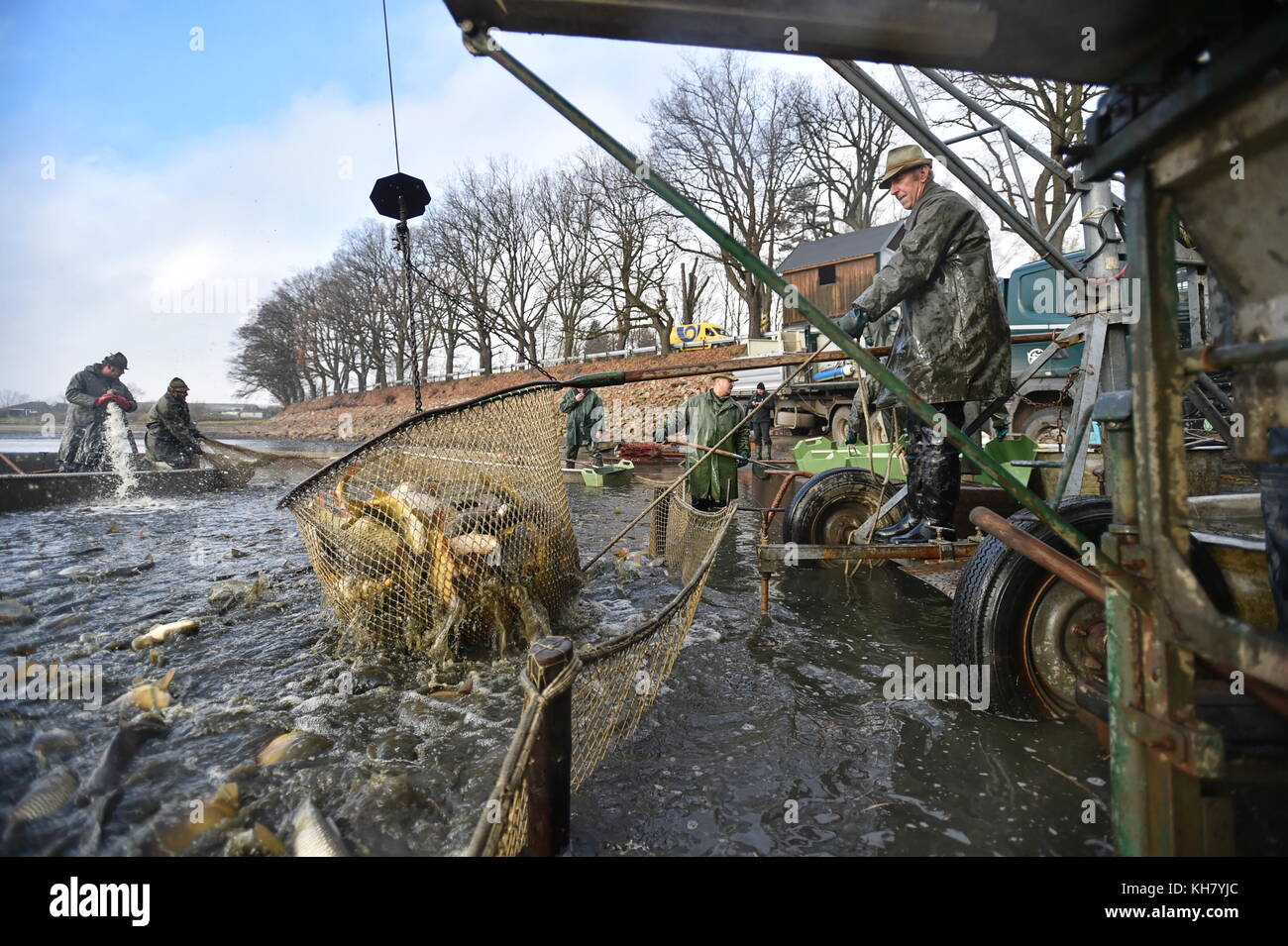 Zar, Czech Republic. 16th Nov, 2017. Fishermen fish out the Zarsky pond ...