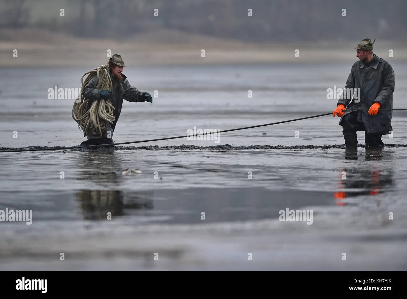 Zar, Czech Republic. 16th Nov, 2017. Fishermen fish out the Zarsky pond ...