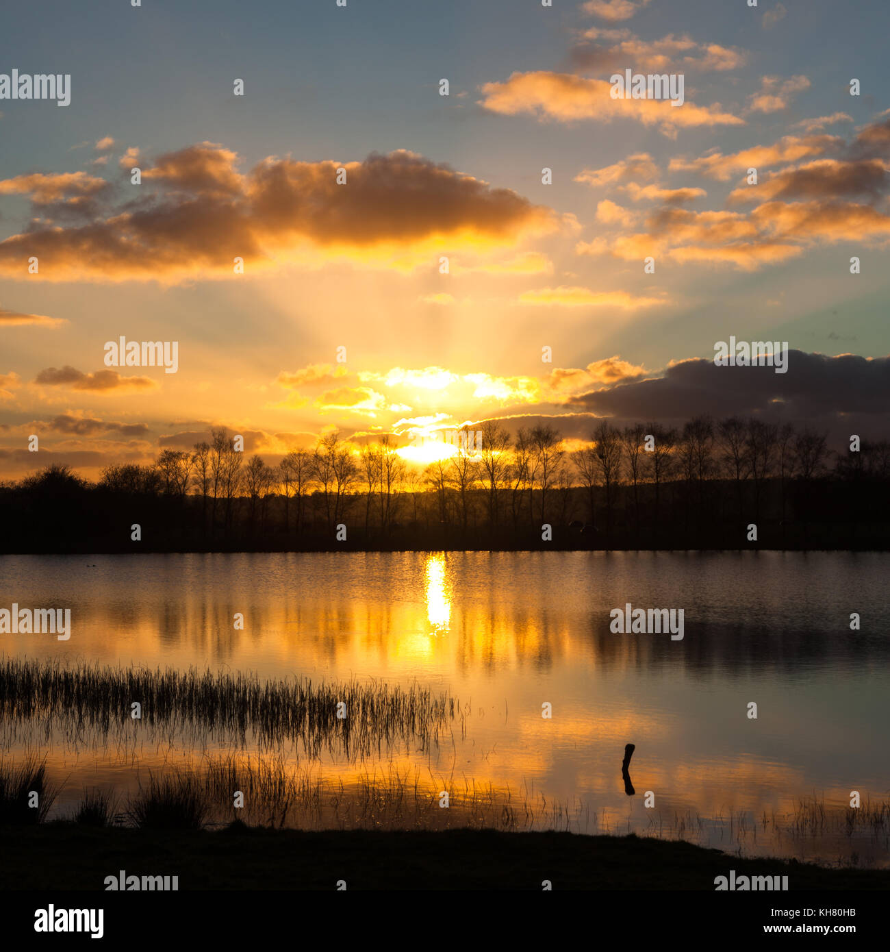 A golden sunset reflecting on a lake along the ystwyth trail in Mid ...