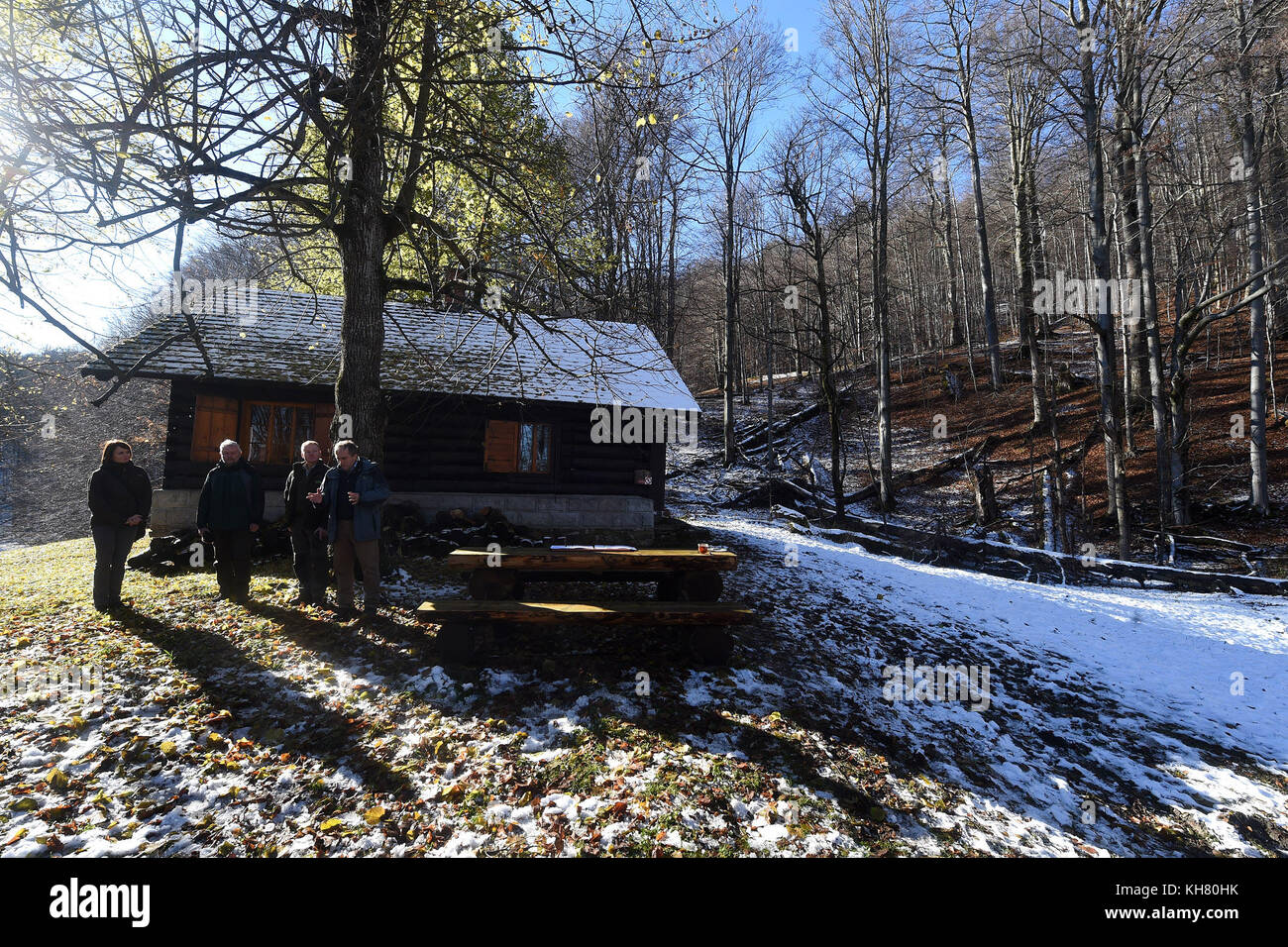 Mionsi, a valuable beech-fir forest in the Beskydy mountain range, has ...
