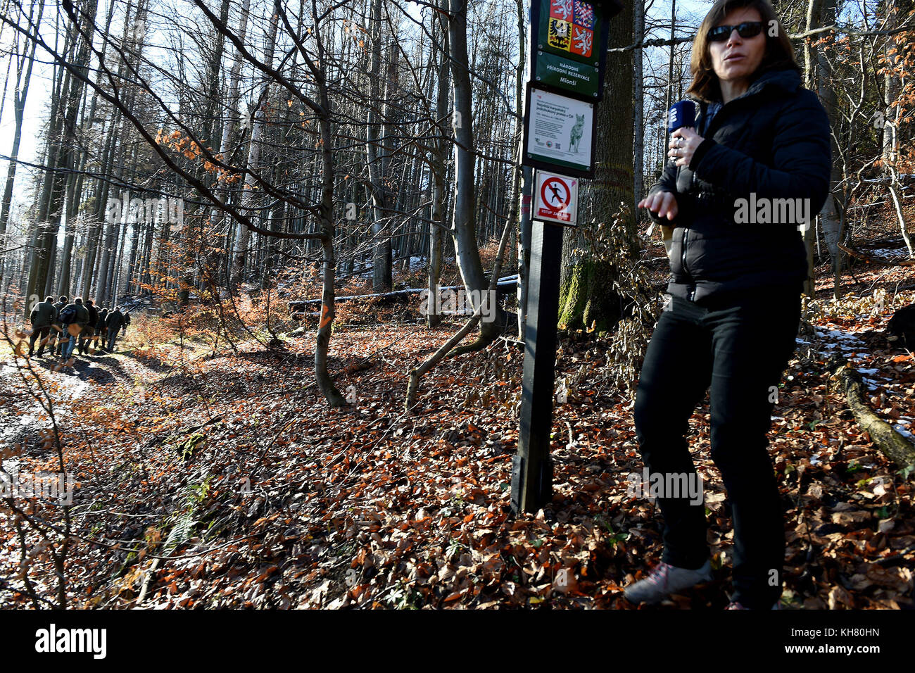 Mionsi, a valuable beech-fir forest in the Beskydy mountain range, has ...