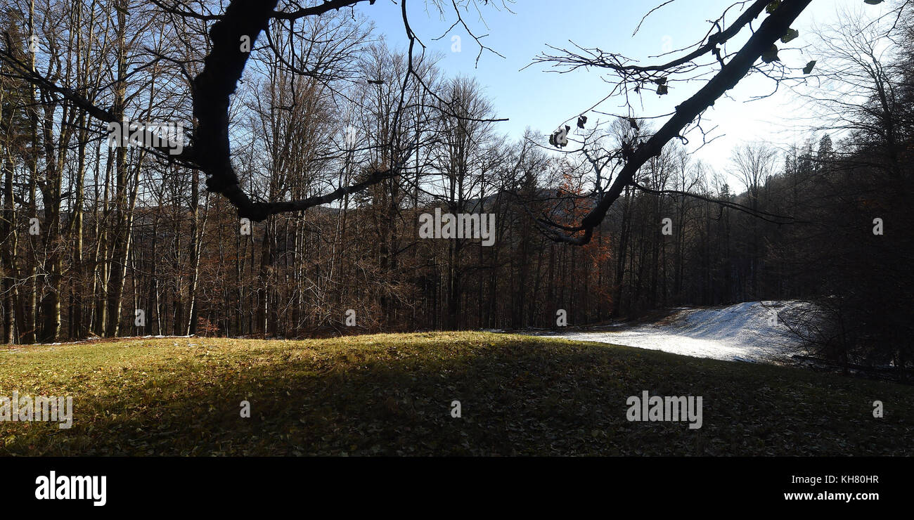 Mionsi, a valuable beech-fir forest in the Beskydy mountain range, has ...