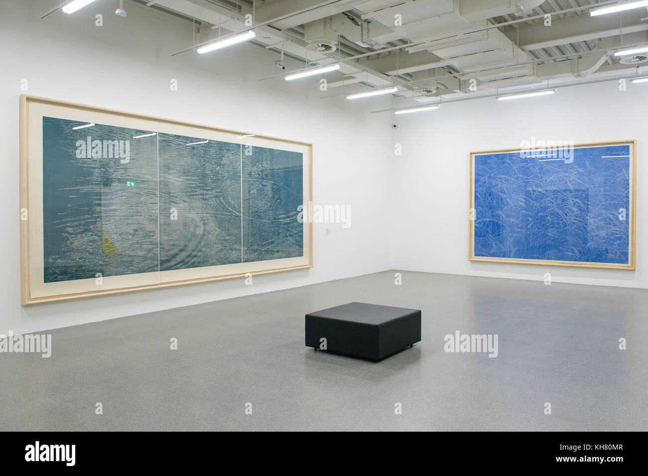 Saarbruecken, Germany. 16th Nov, 2017. Photography of the Swiss artist Franz Gertsch can be seen ...