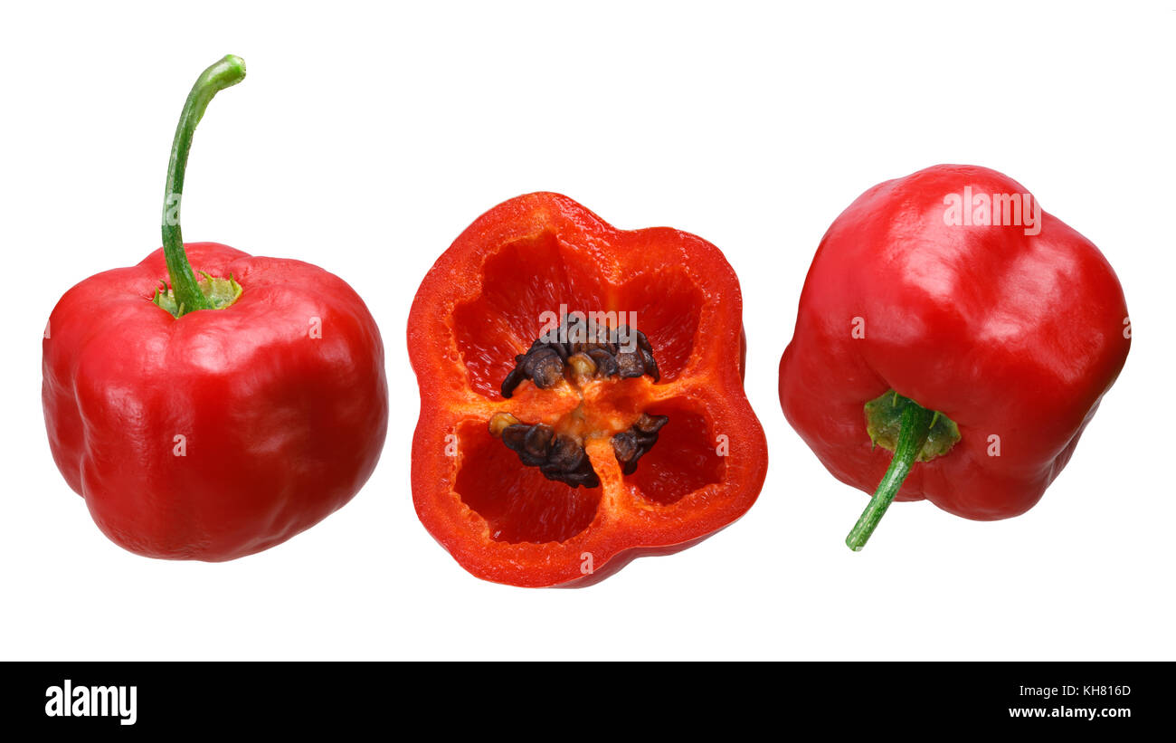 Rocoto Manzano Rojo chile peppers (Capsicum pubescens). Clipping paths ...
