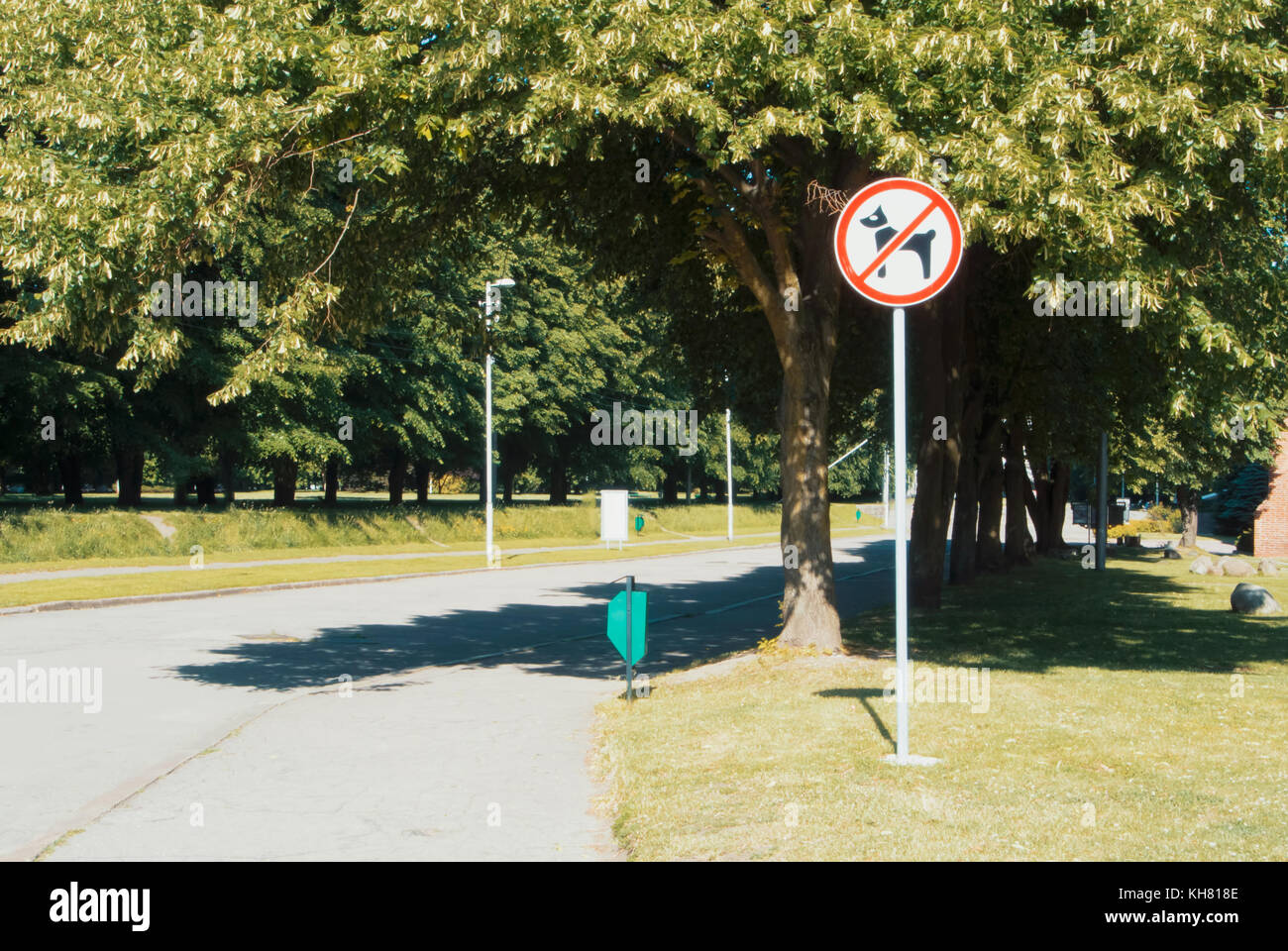 Asphalt road between old green trees at the park with a sign forbidden ...