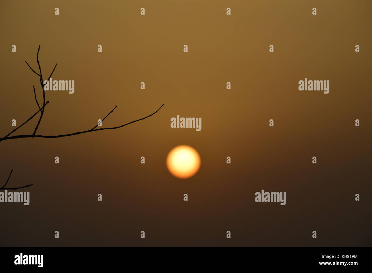 objects against rising sun Stock Photo - Alamy