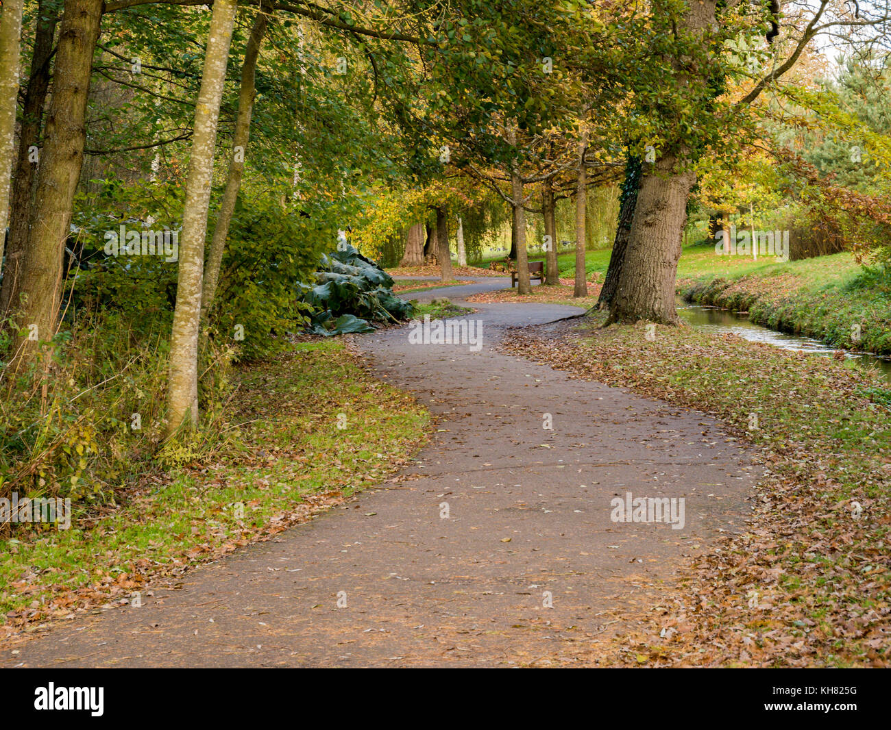 Woodland walk at Leeds castle, kent, uk Stock Photo - Alamy