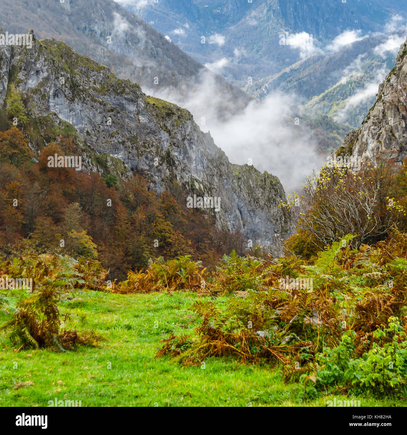Autumn mountain landscape in Asturias, northern Spain Stock Photo - Alamy