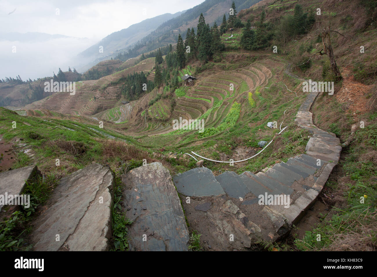 Chinese rice paddies hi-res stock photography and images - Alamy