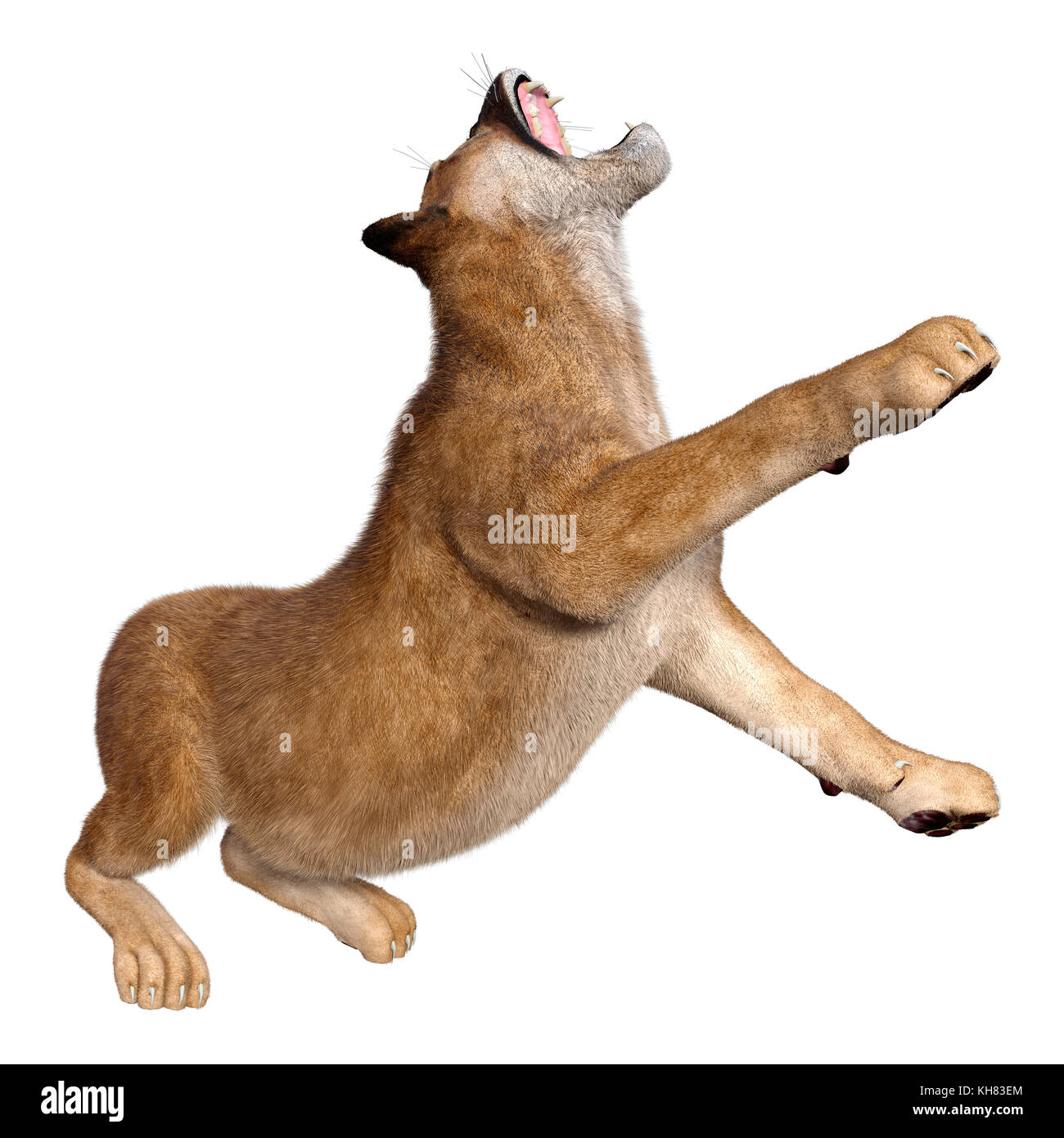 3D rendering of a big cat puma isolated on white background Stock Photo ...