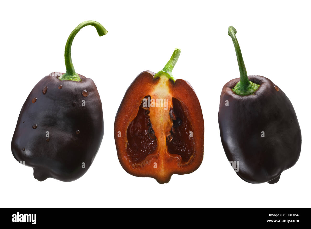 Brown Rocoto chile peppers (Capsicum pubescens). Clipping paths for ...
