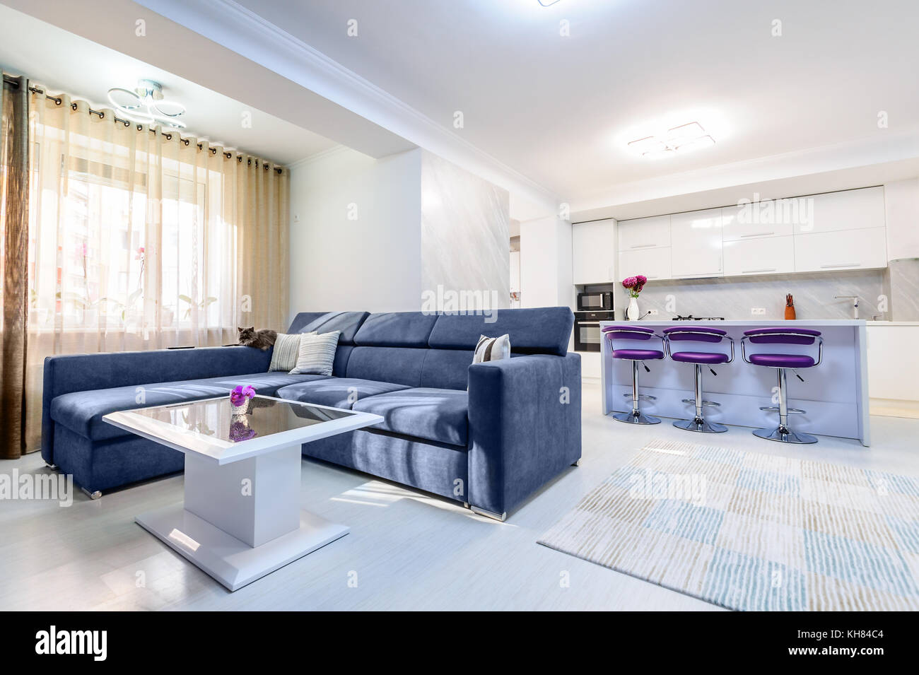 Interior of modern white studio apartment with kitchen Stock Photo - Alamy