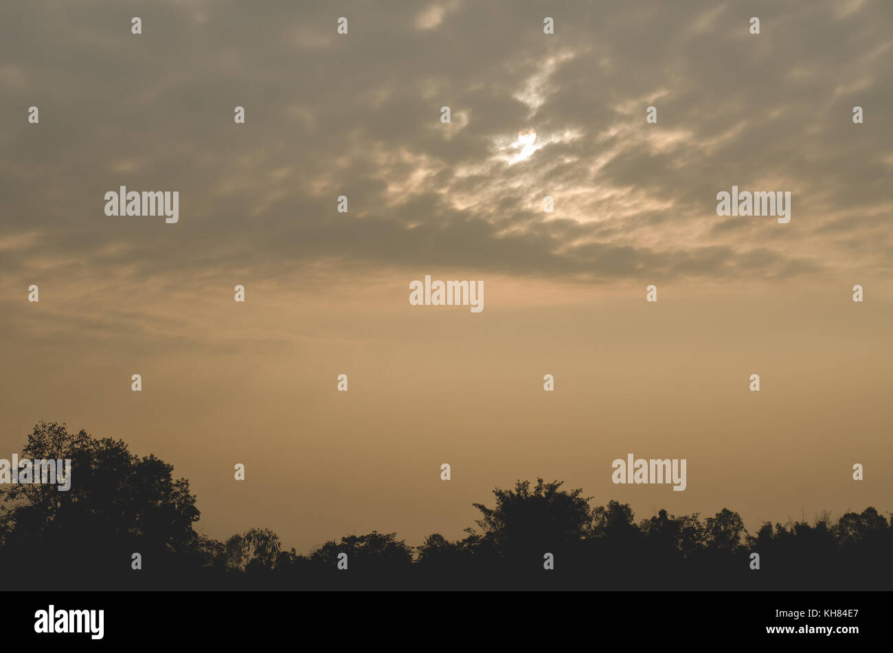 sunshine fields in the evening Stock Photo - Alamy