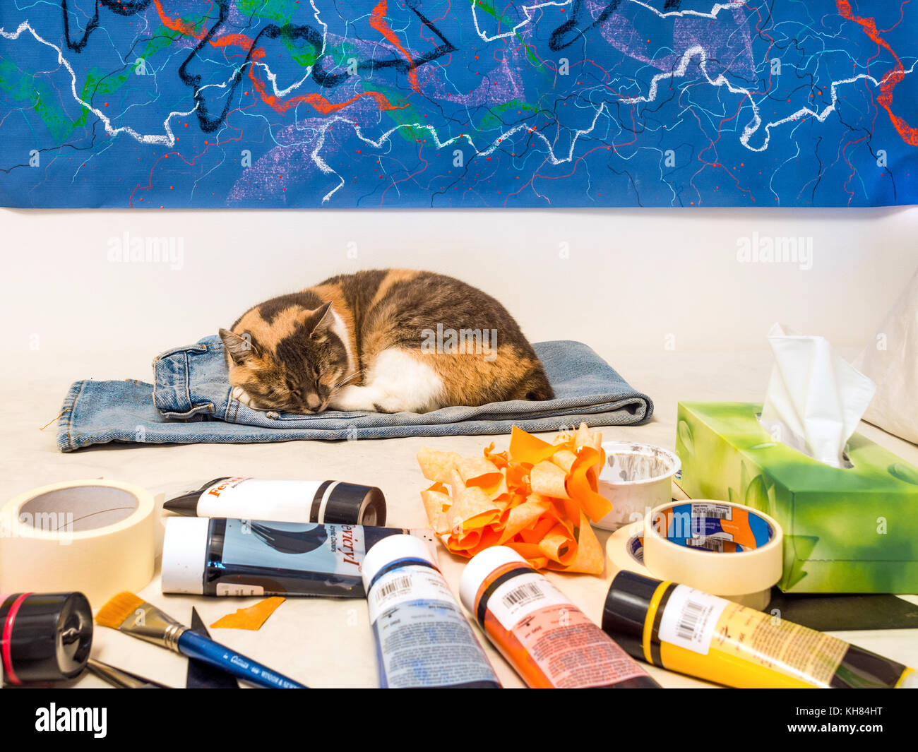 Sleeping cat in artist's studio - France Stock Photo - Alamy