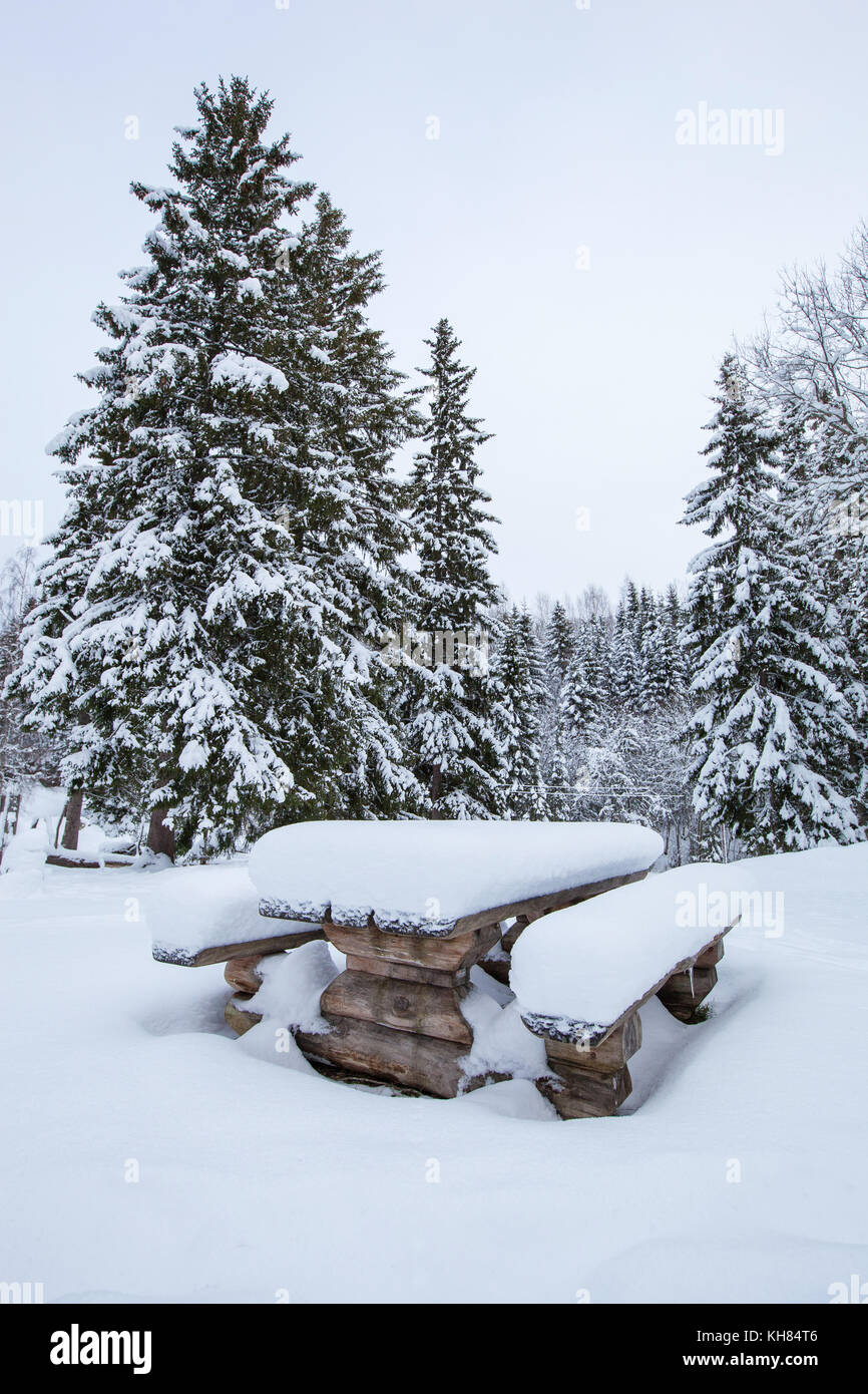 beautiful winter landscape snow tree Stock Photo - Alamy