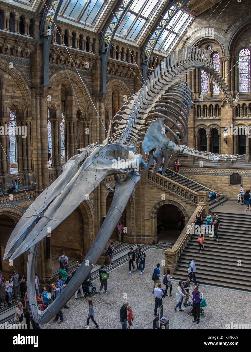 Life after death Stock Photo - Alamy