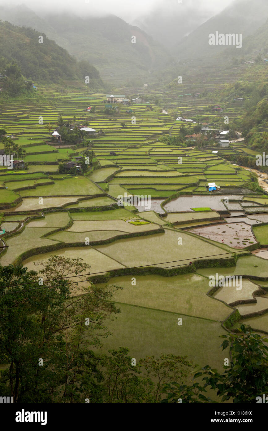 Rice terraces in Banaue, Philippines Stock Photo - Alamy