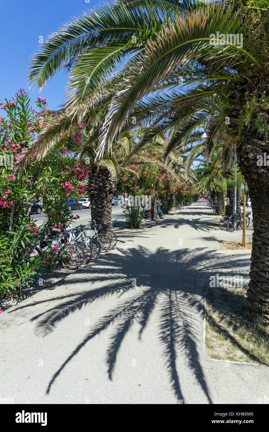 Tronto High Resolution Stock Photography and Images - Alamy