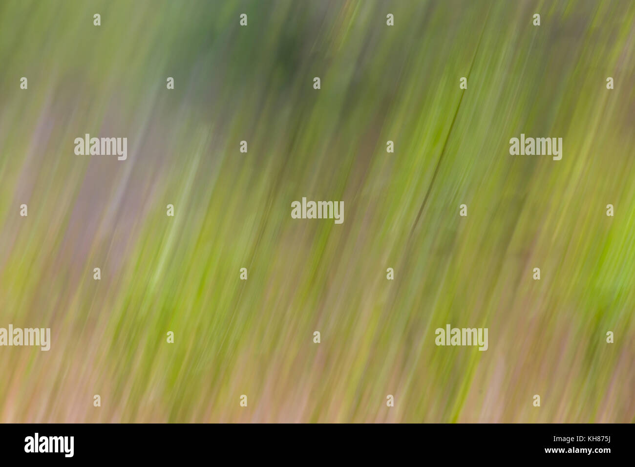 Slow motion grass color beautiful hi-res stock photography and images ...