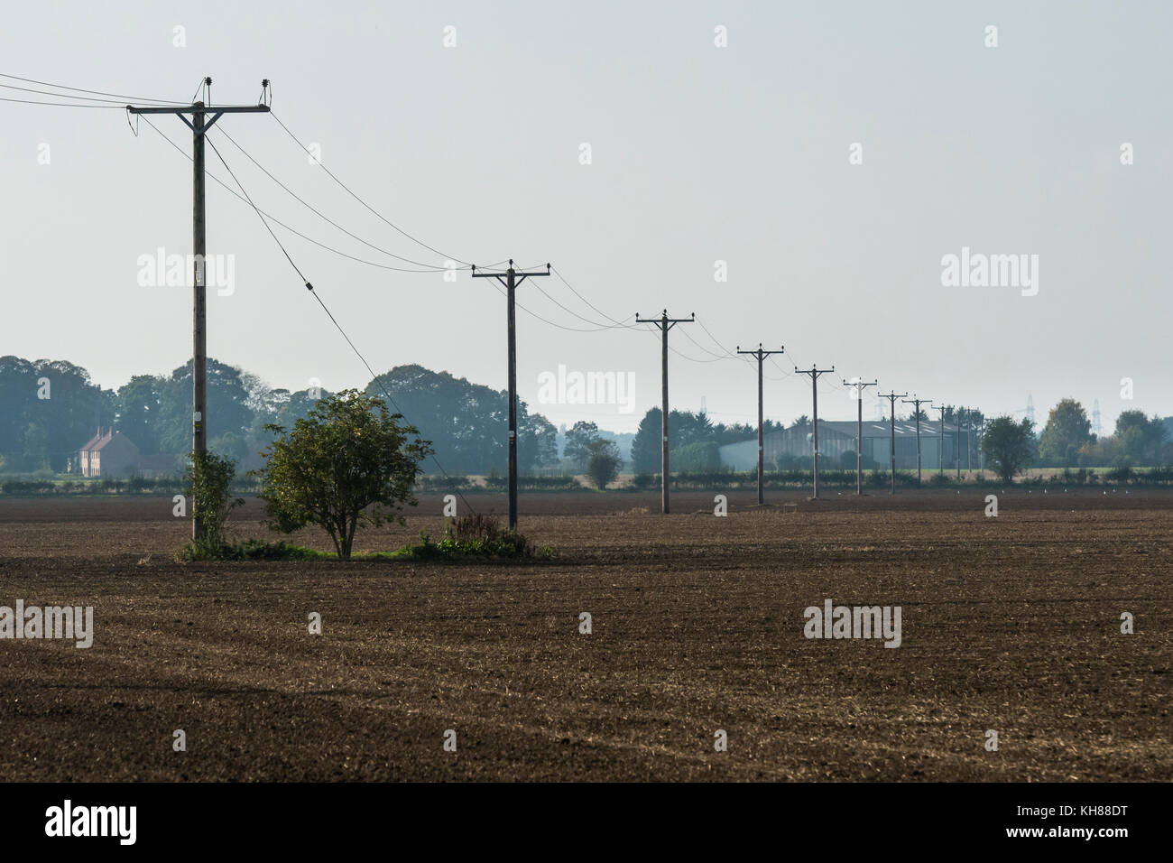 Electric transmission lines wooden poles High Resolution Stock ...