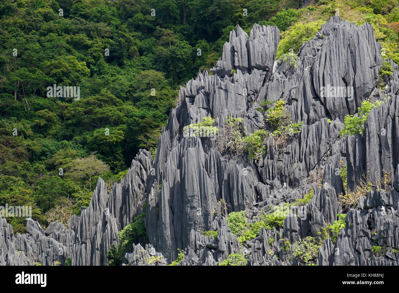 Limestone rocks on the coast of El Nido and Bacuit Archipelago ...