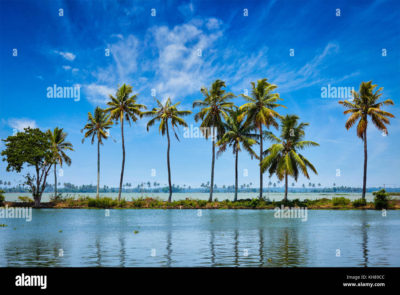 Landscape Kerala Stock Photos & Landscape Kerala Stock Images - Alamy
