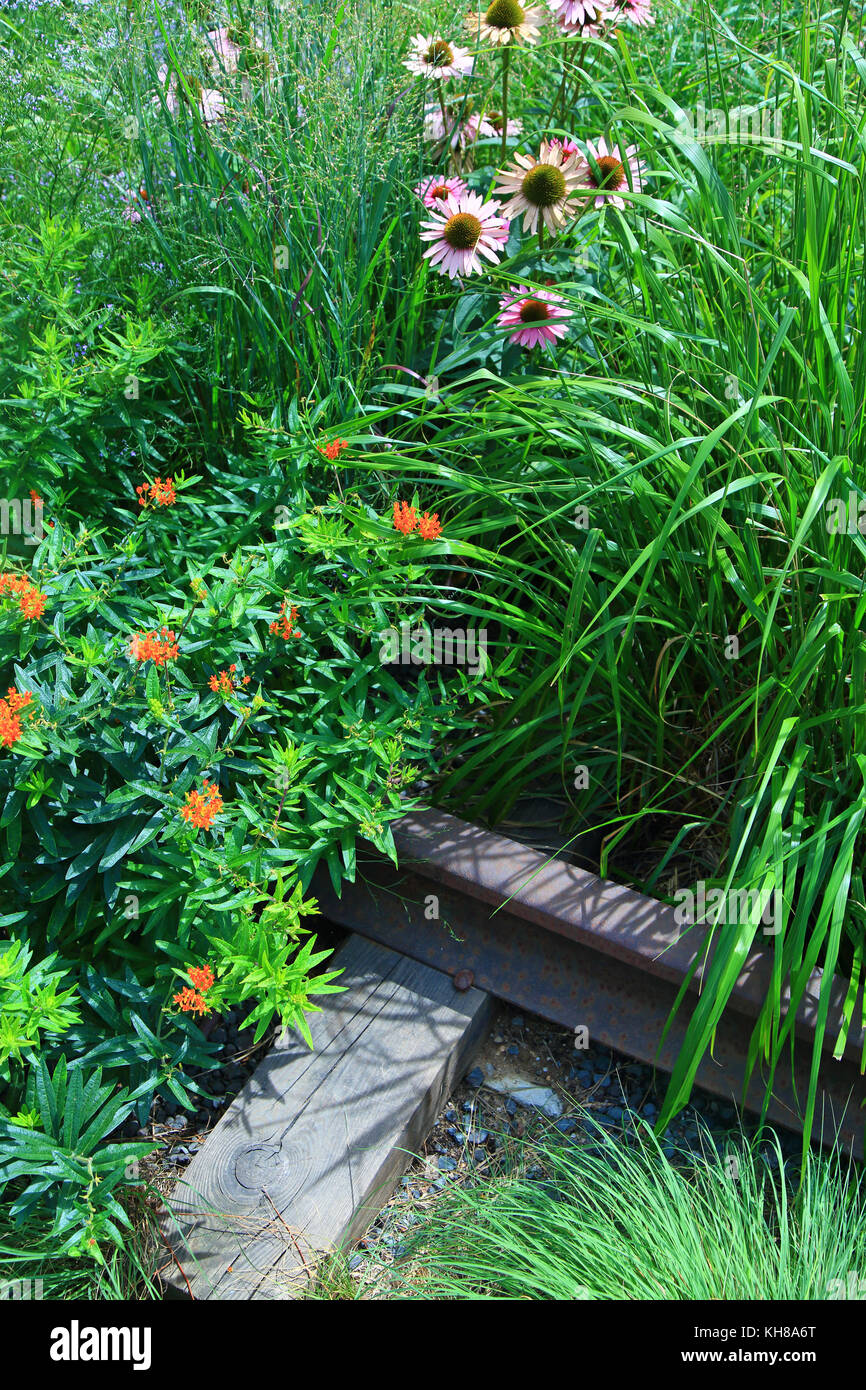 Rails covered by the vegetation Stock Photo - Alamy