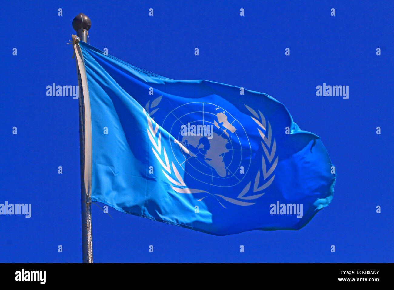 UN flag in blue sky Stock Photo - Alamy