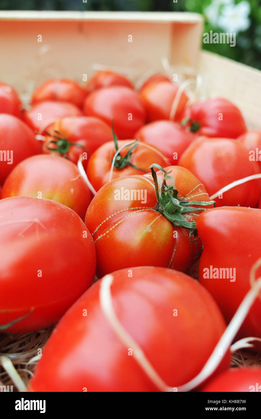 Ancient Provencal french ripe farm tomatoes on the street market Stock ...